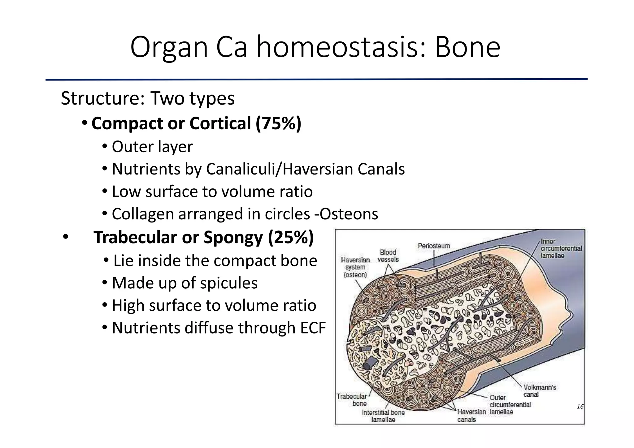 calciumhomeostasis-200517174534.pptx