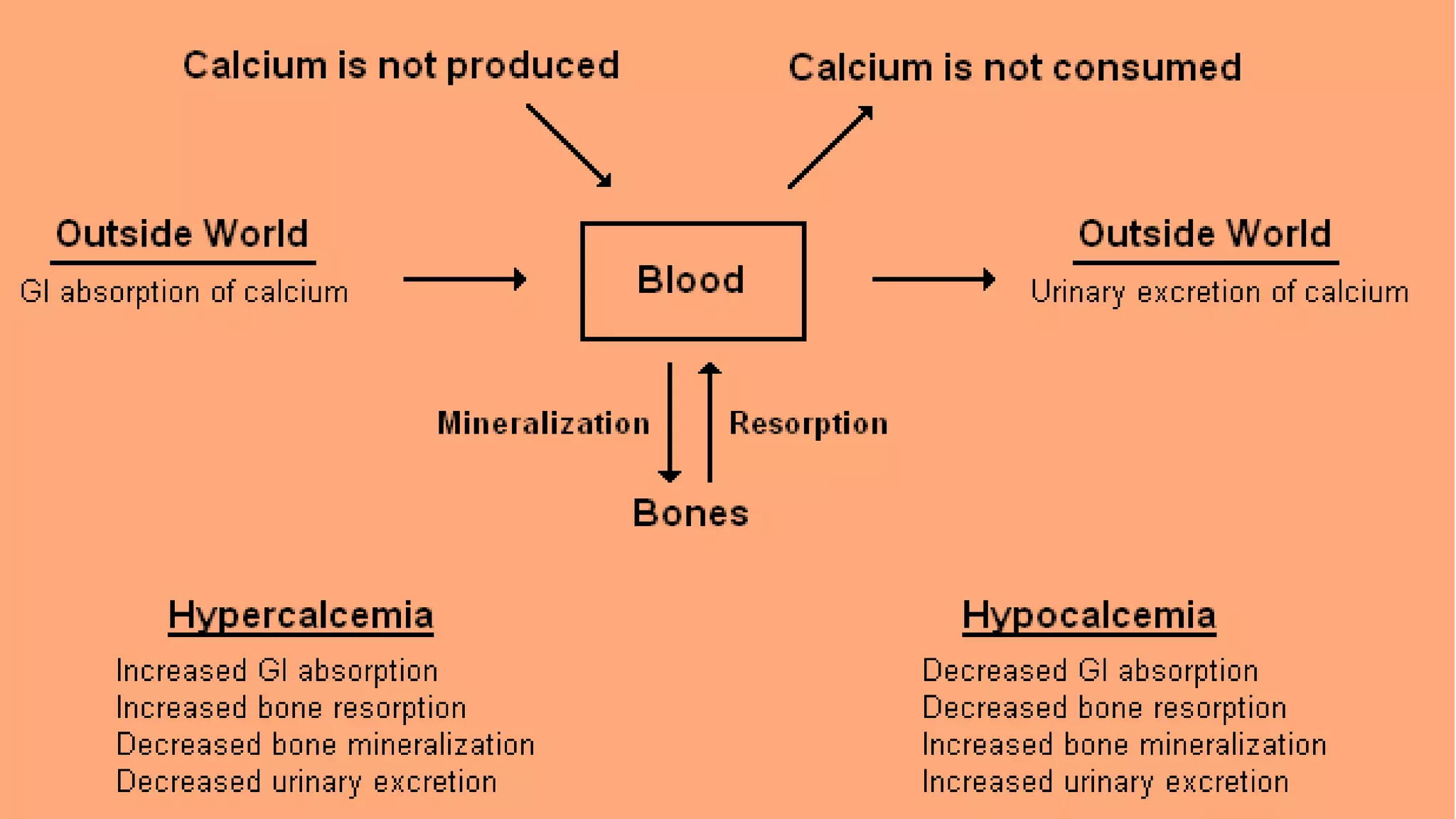 Calcium Homeostasis Ppt Free Download