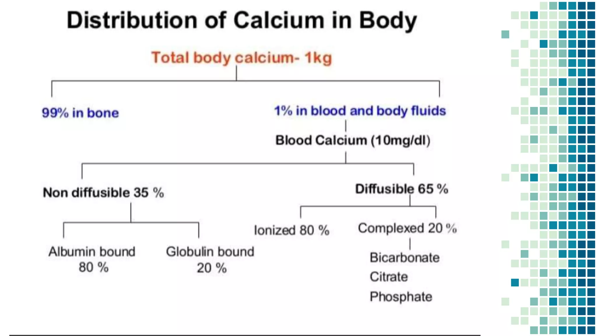 Calcium Homeostasis.pptx