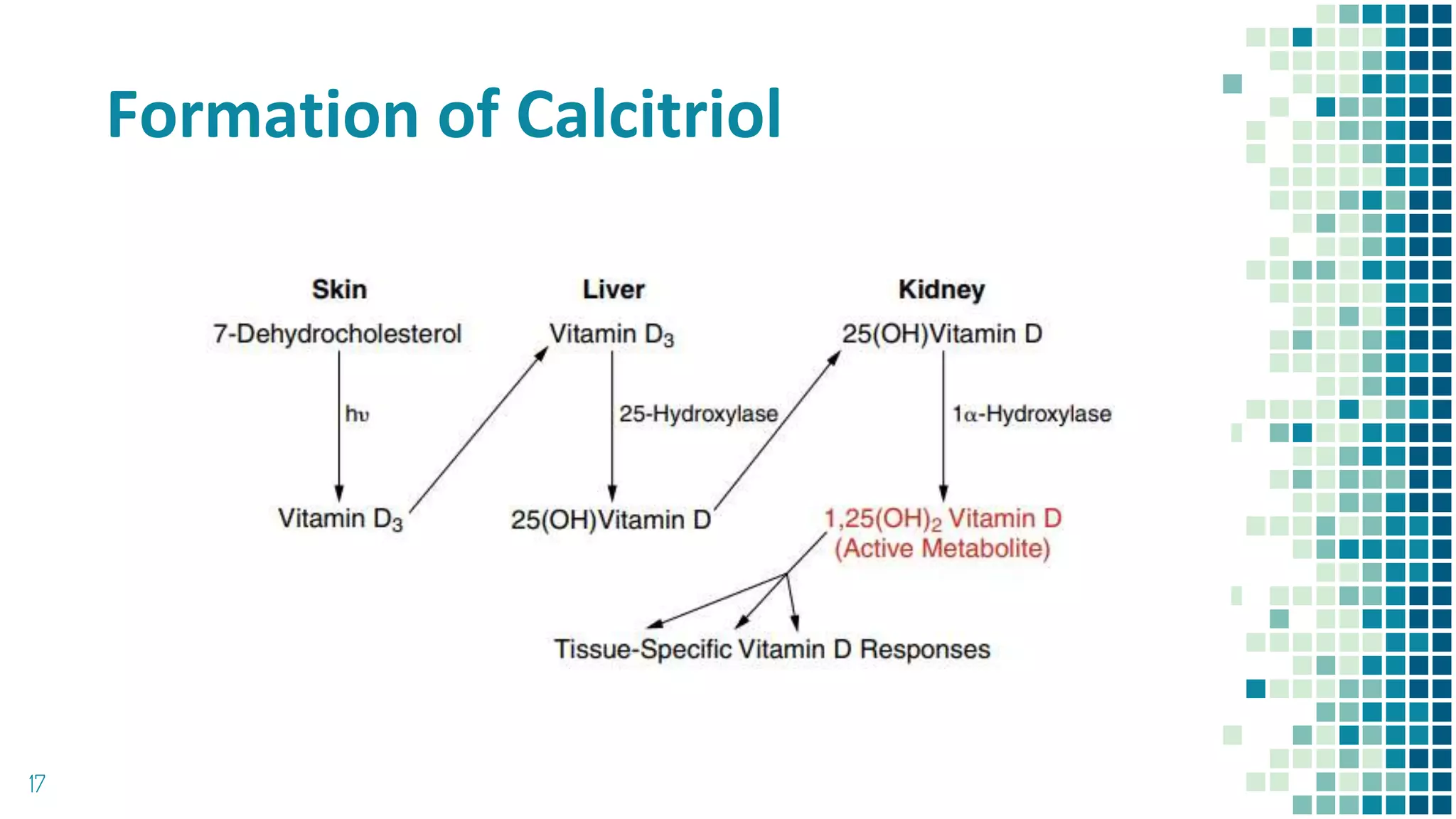 Calcium Homeostasis.pptx