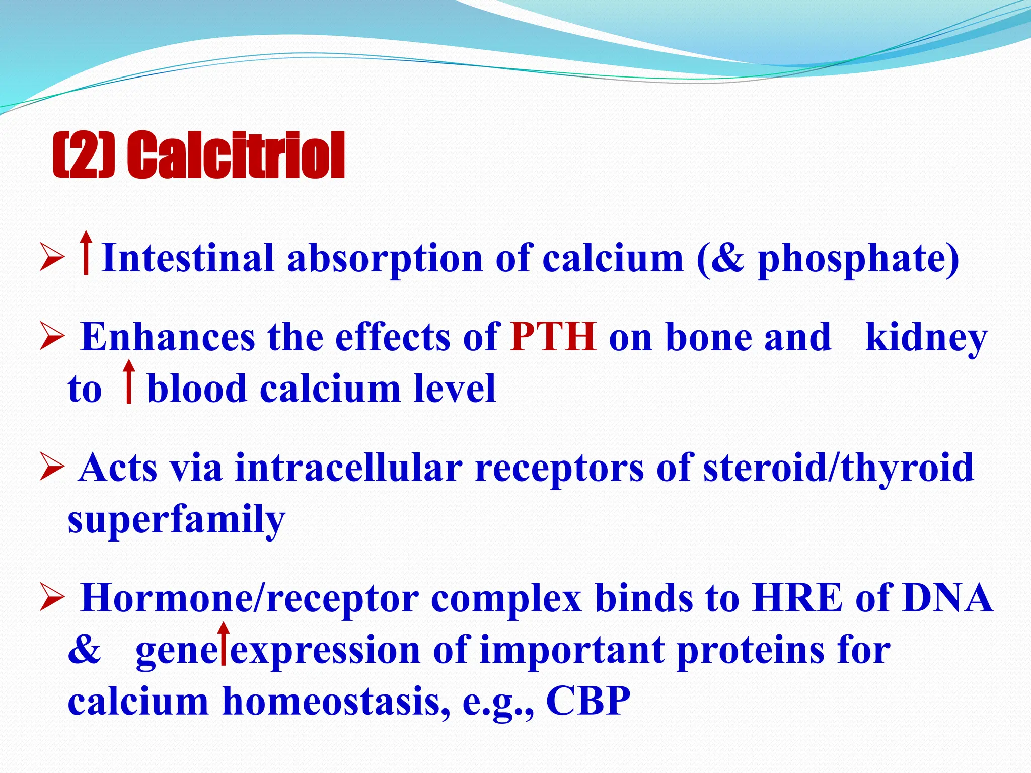 Calcium Homeostasis.ppt
