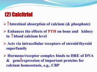 Calcium Homeostasis.ppt