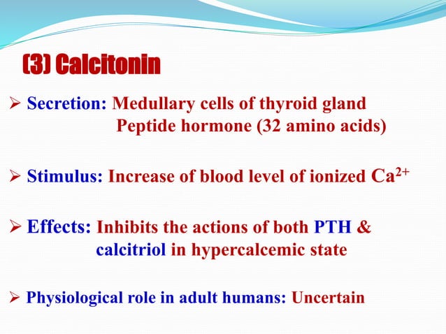 Calcium Homeostasis.ppt