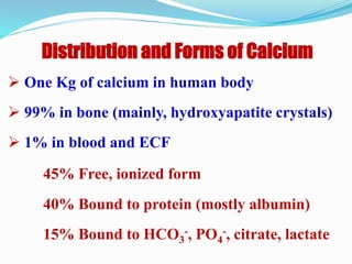 Calcium Homeostasis.ppt