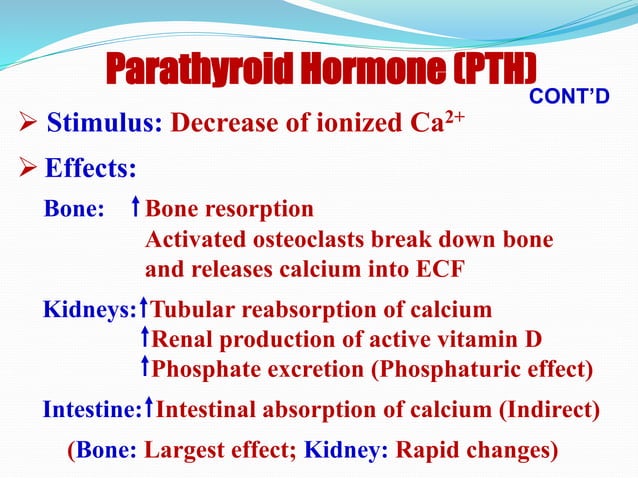 Calcium Homeostasis.ppt