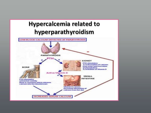 Calcium homeostasis vitamin d-parathyroid-calcitonin role (rickets ...