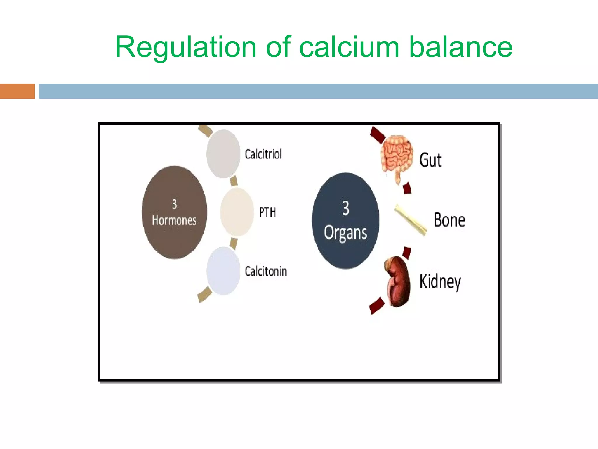 Calcium homeostasis & its related disorders | PPT