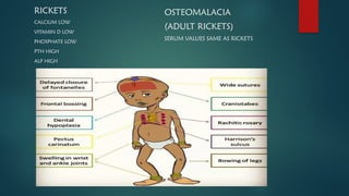 CALCIUM HOMEOSTASIS(REGULATION) - Copy.pptx