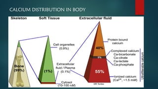 CALCIUM HOMEOSTASIS(REGULATION) - Copy.pptx