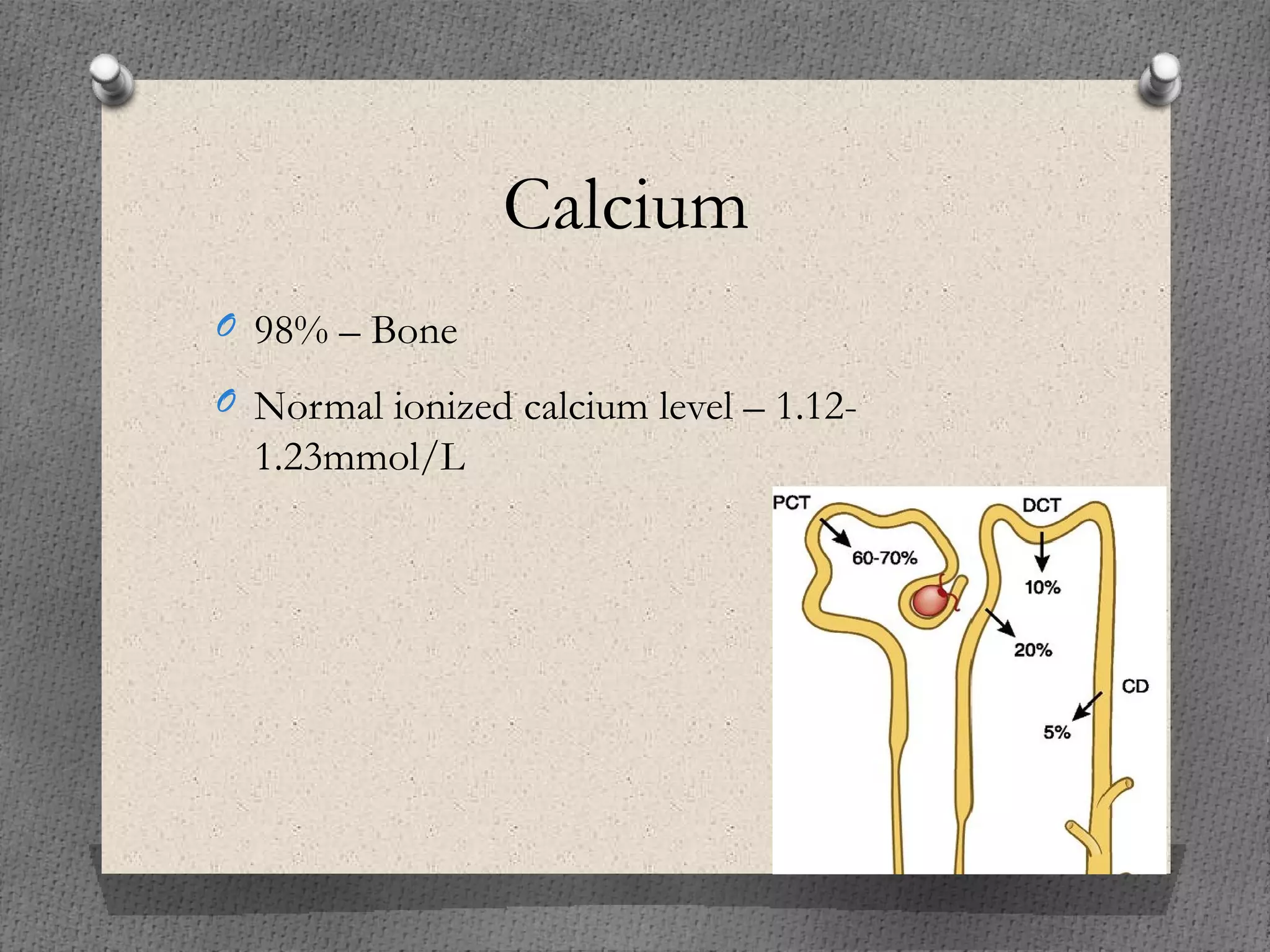 Calcium homeostasis & rickets | PPT