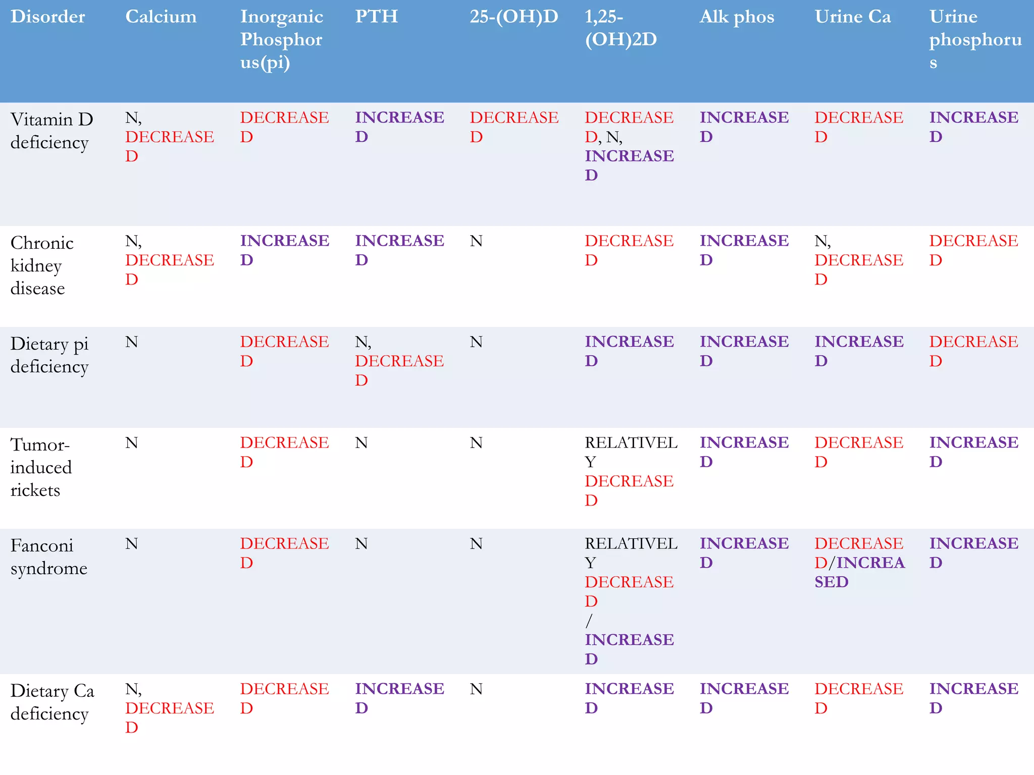 Calcium homeostasis & rickets | PPT