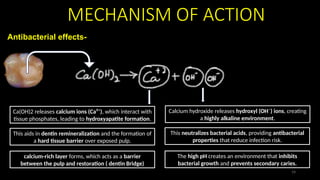 Calcium Hydroxide applications in Dentistry | PPTX