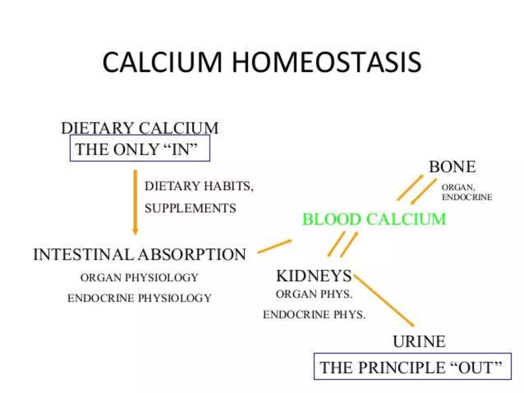 Calcium Imbalance (Updates) | PPTX