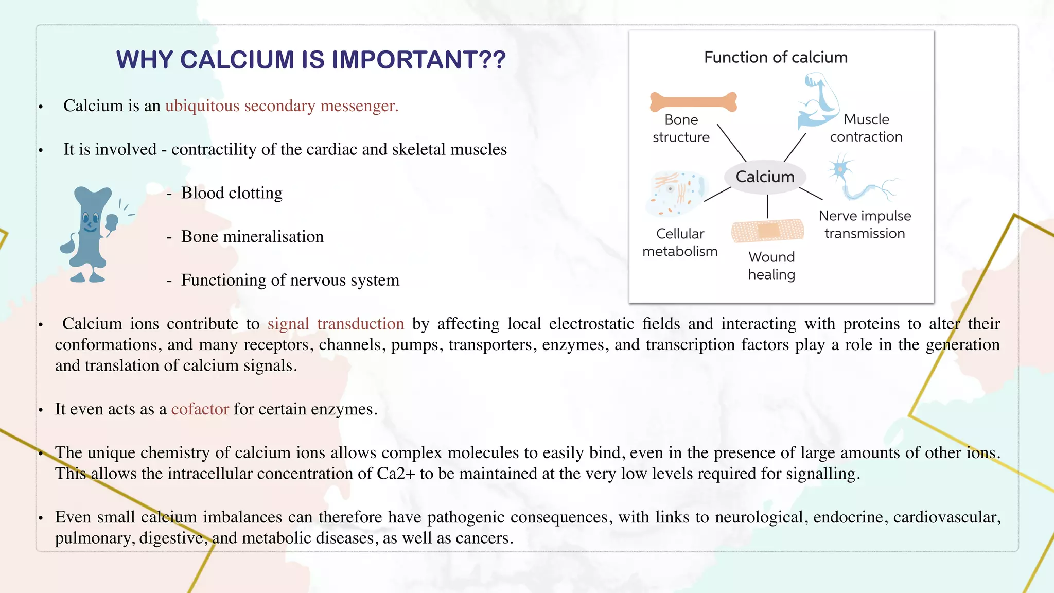 calcium influx assay | PDF