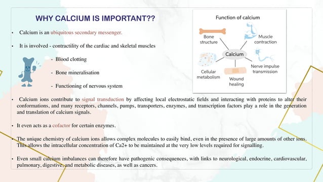 calcium influx assay | PDF