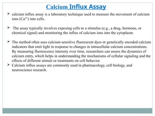 calcium influx assay ppt calcium movments in the cell and viability of ...