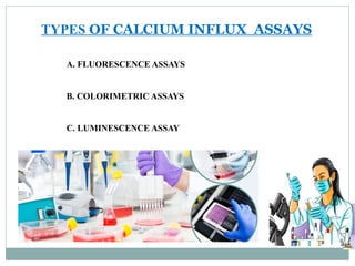 calcium influx assay ppt calcium movments in the cell and viability of ...