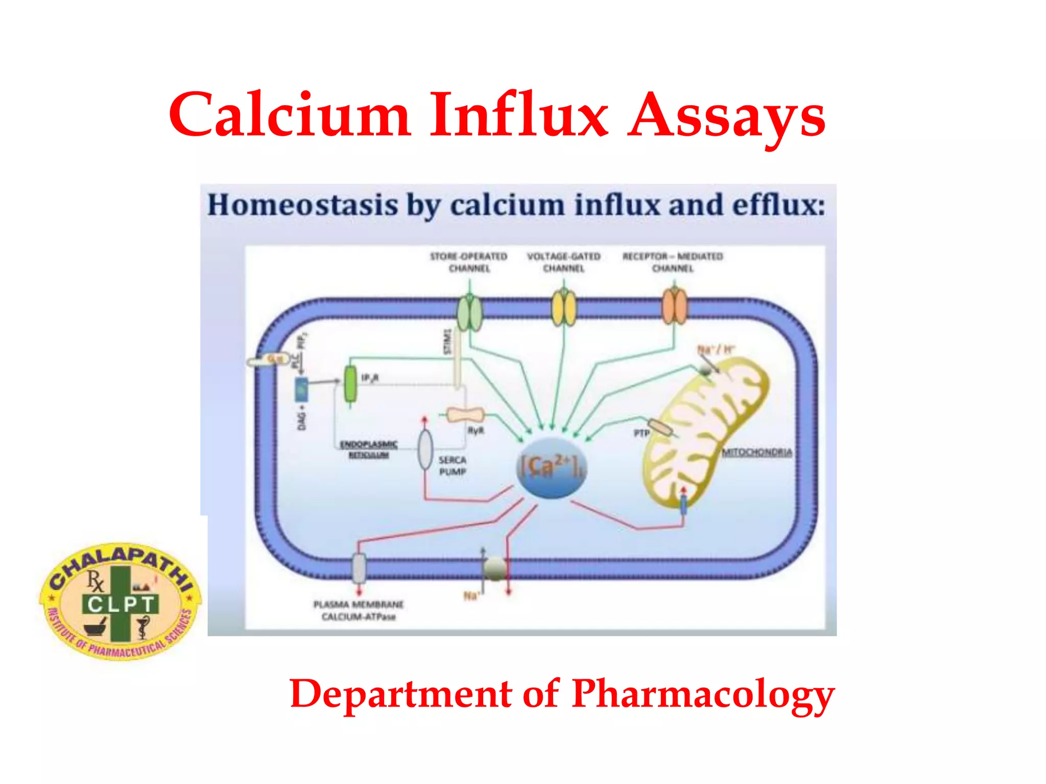Calcium influx assays | PDF