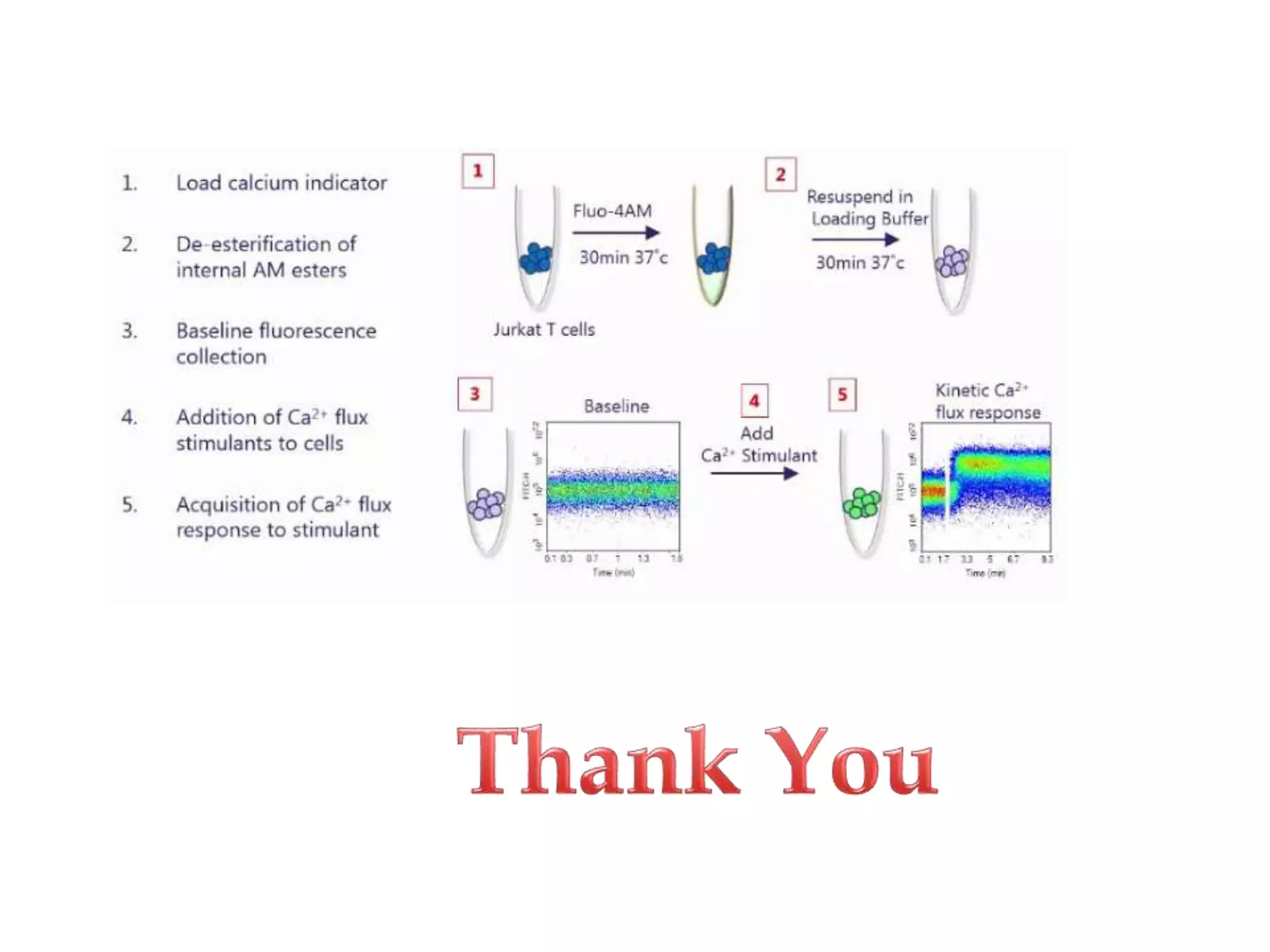 Calcium influx assays | PDF