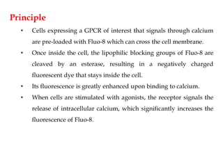 Calcium influx assays | PDF