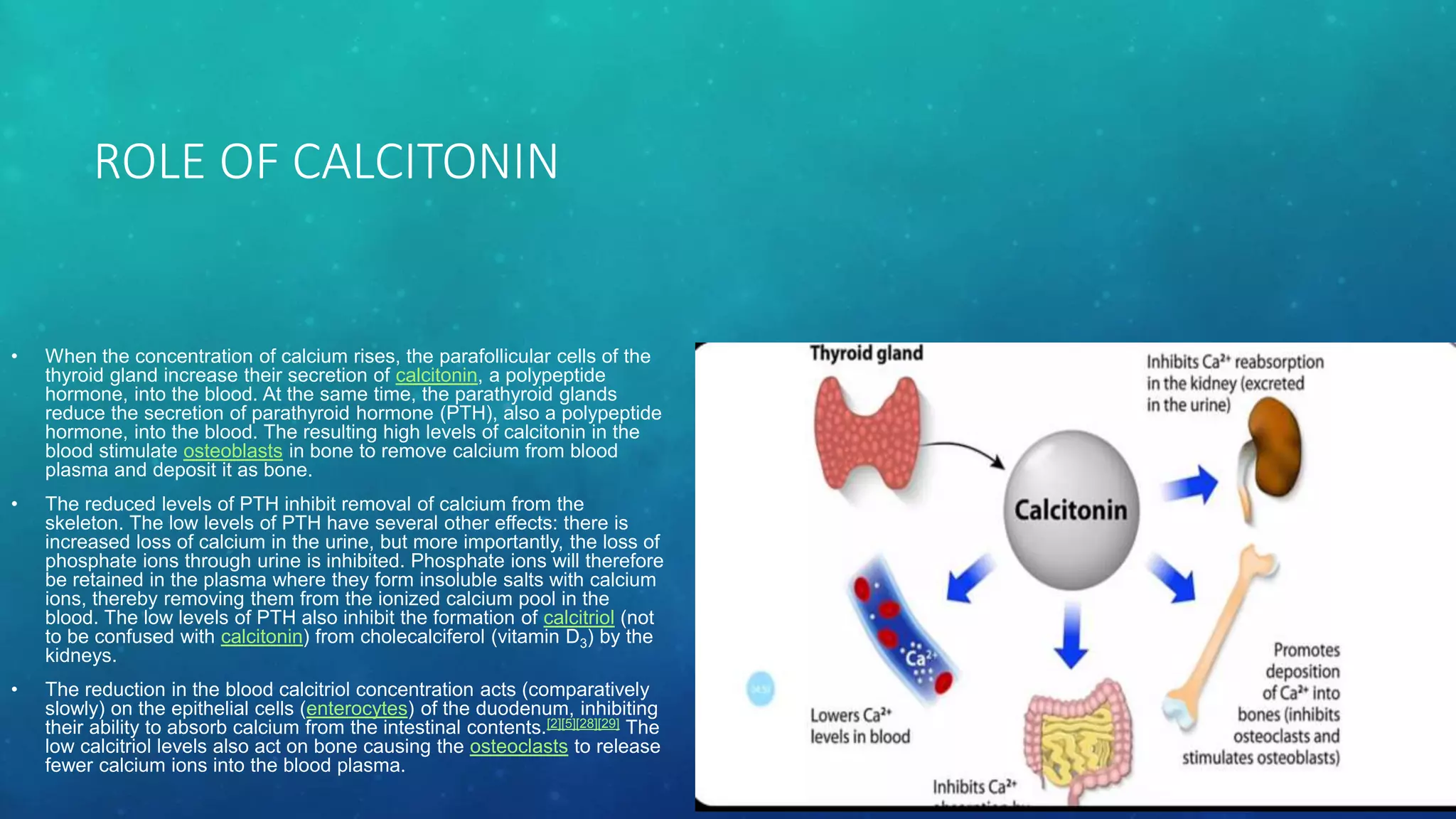 CALCIUM METABOLISM-1.pptx | Endocrine and Metabolic Diseases | Diseases ...