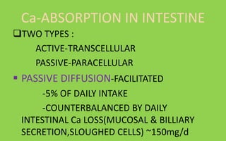 Calcium Metabolism | PPTX