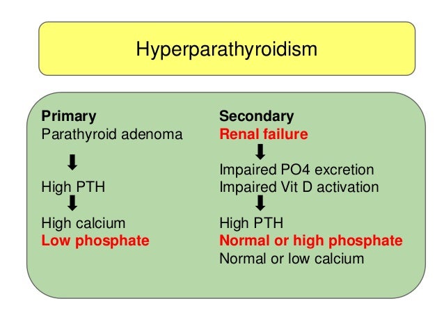 Calcium metabolism handout