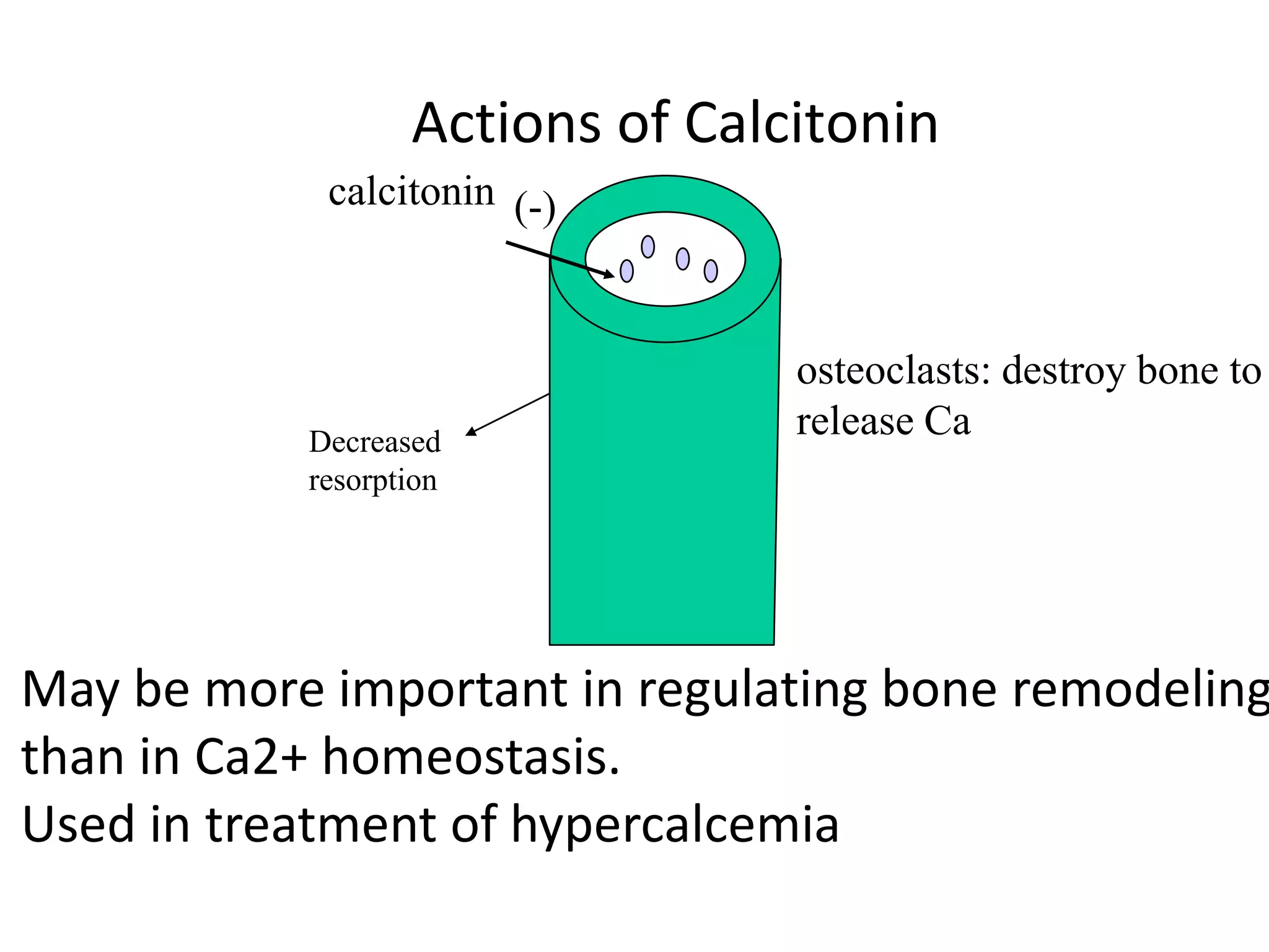 Calcium metabolism | PPTX