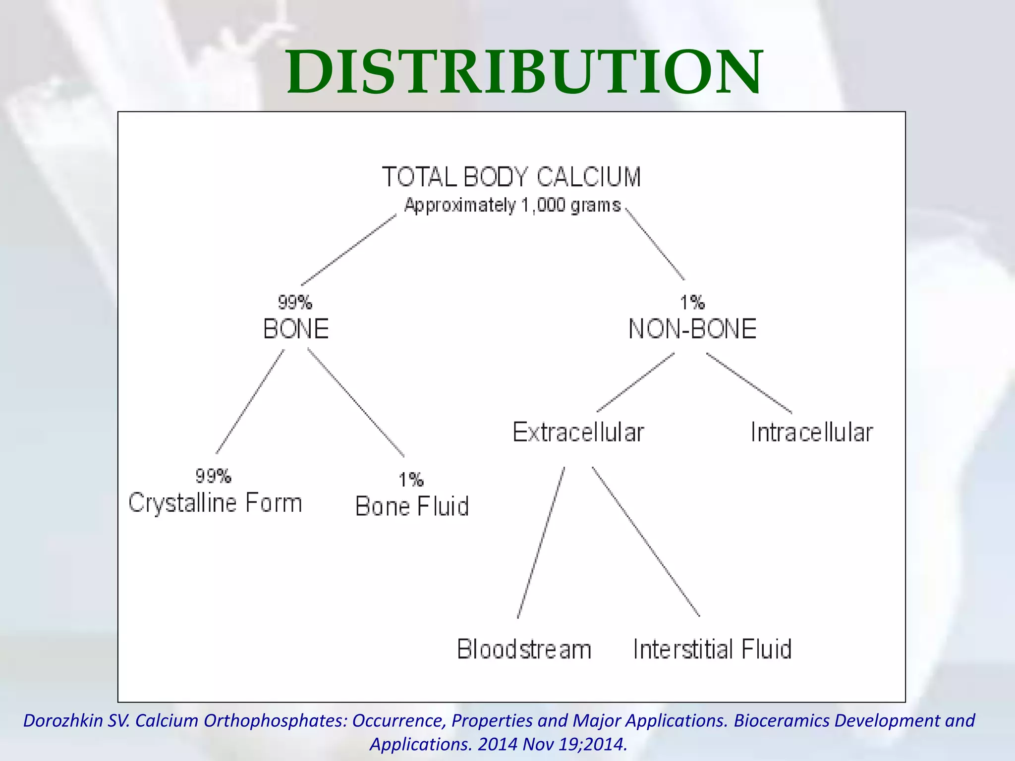 Calcium metabolism | PPTX