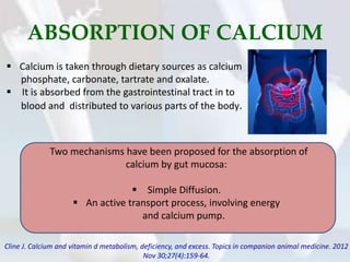 Calcium metabolism | PPTX