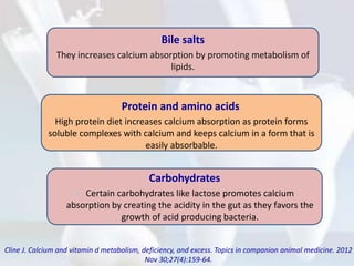 Calcium metabolism | PPTX