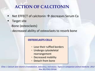 Calcium metabolism | PPTX