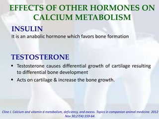 Calcium metabolism | PPTX