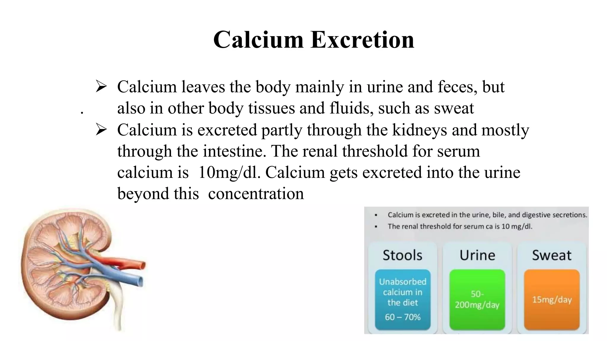 Calcium metabolism | PPTX