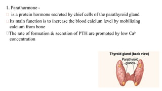 Calcium metabolism | PPTX