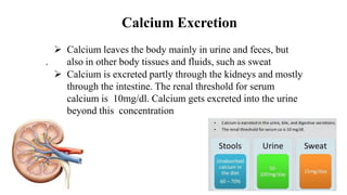 Calcium metabolism | PPTX
