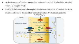 Calcium metabolism | PPTX