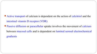 Calcium metabolism | PPT