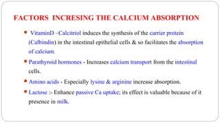 Calcium metabolism | PPT