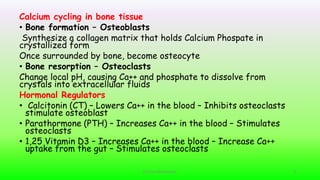 Calcium metabolism | PDF