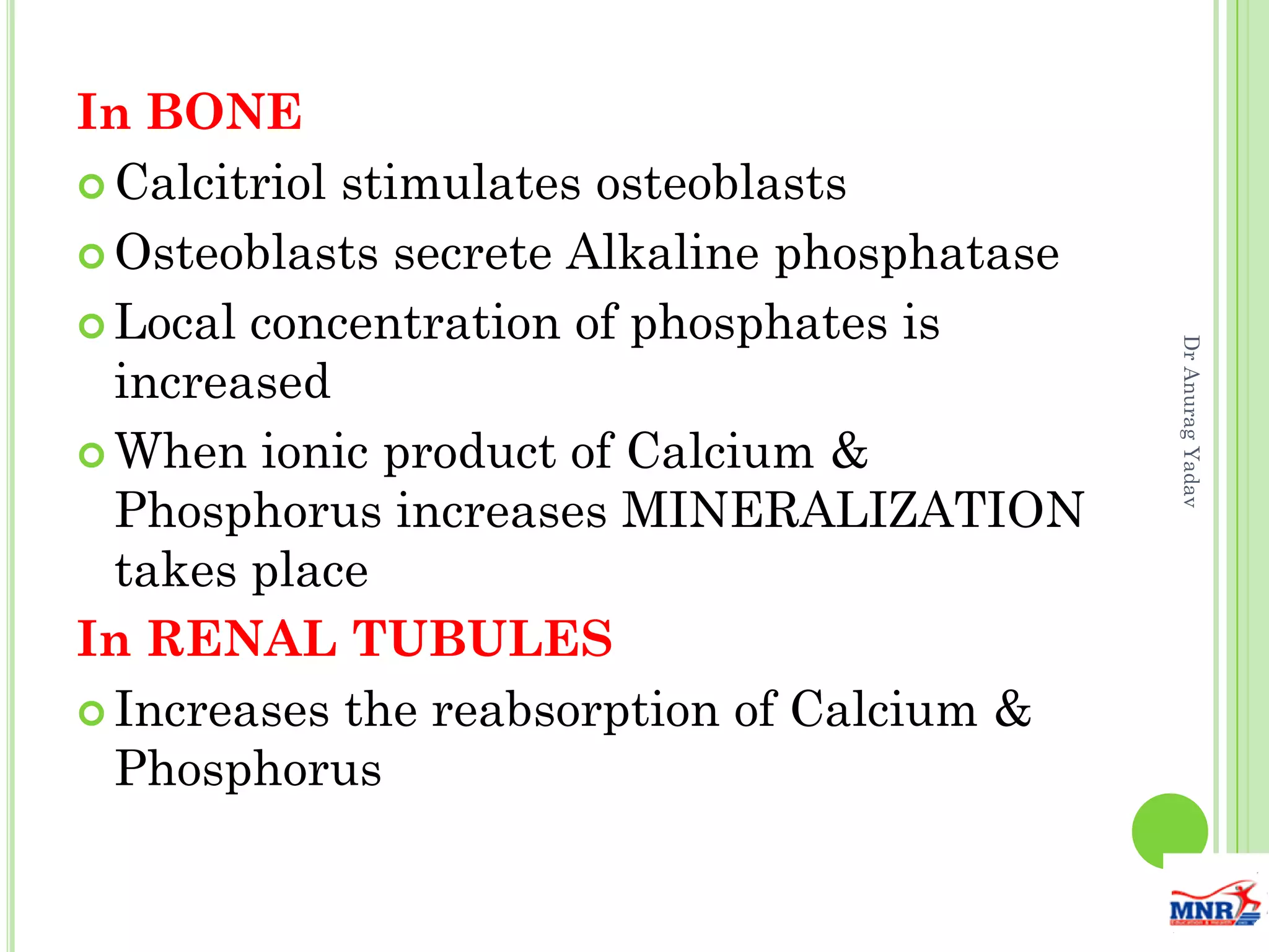 Calcium metabolism by Dr Anurag Yadav | PDF
