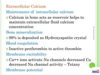 Calcium metabolism by Dr Anurag Yadav | PDF