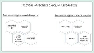 Calcium metabolism | PPTX