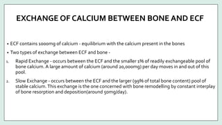 Calcium metabolism | PPTX