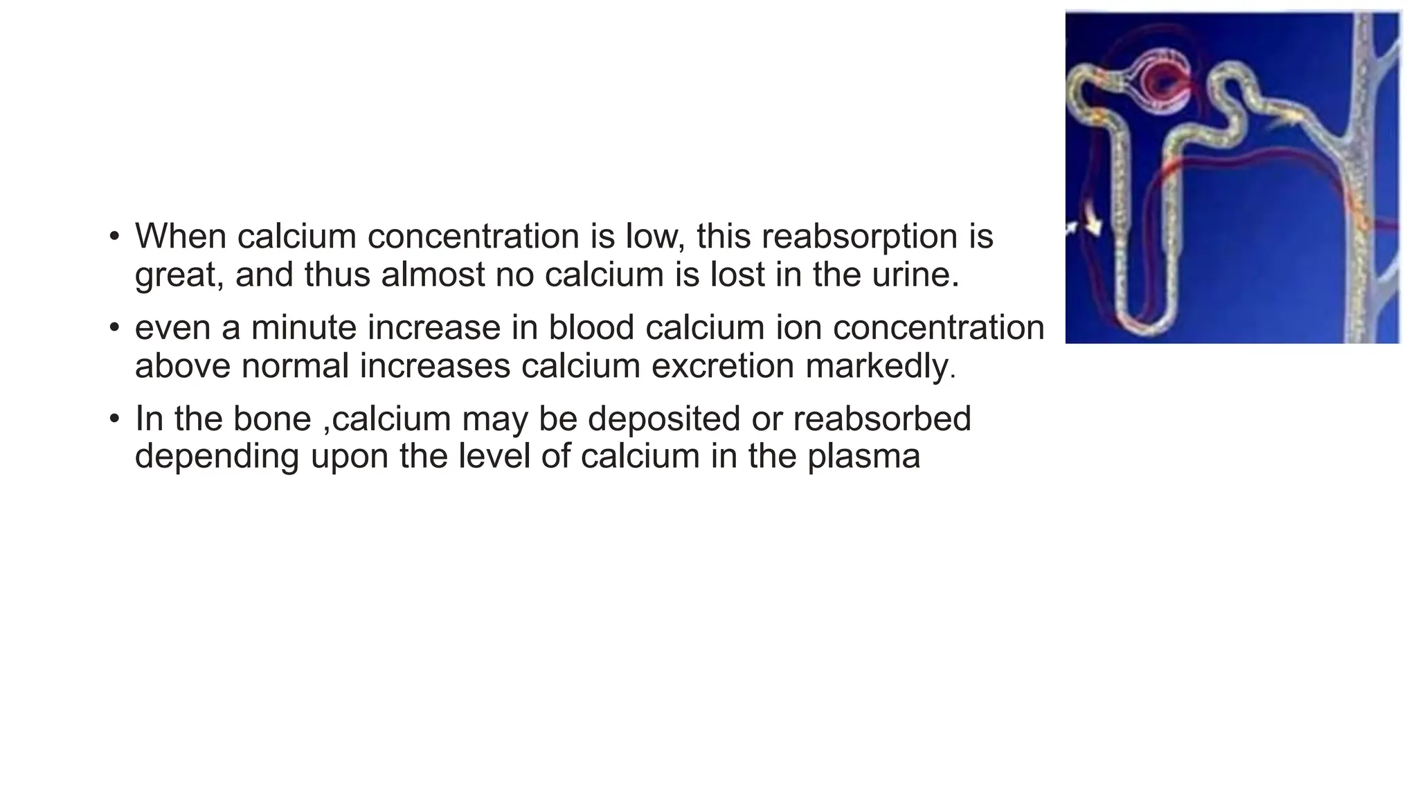 importance of calcium metabolism in orthodontics, in .pptx