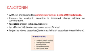 importance of calcium metabolism in orthodontics, in .pptx