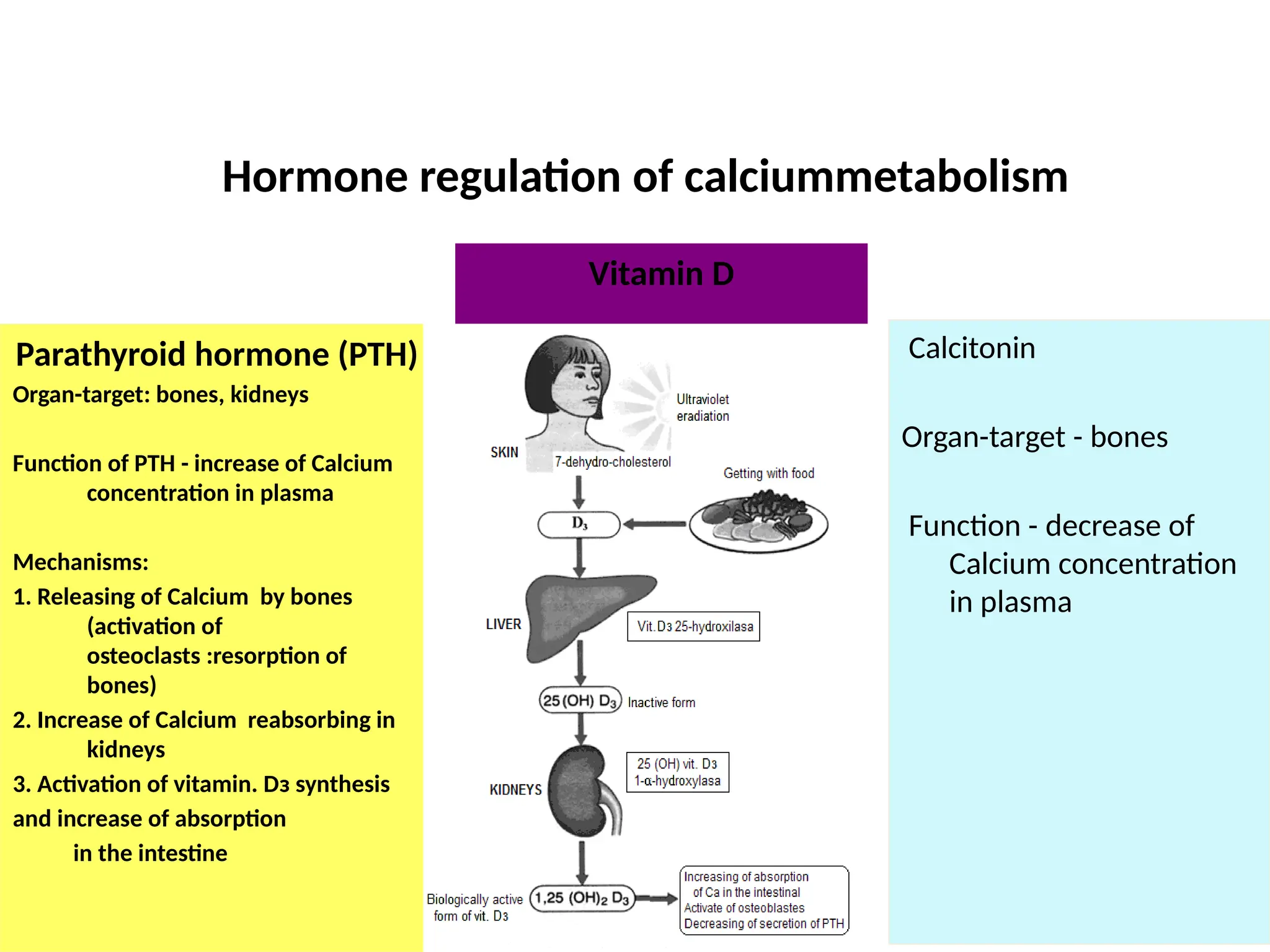 calcium metabolism .pptx