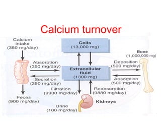 calcium metabolism .pptx