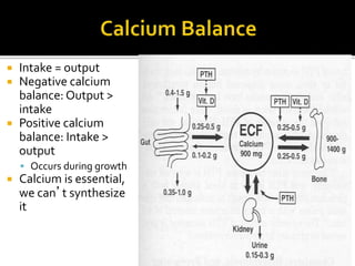 Calcium metabolism and its disorders - UPDATED.ppt