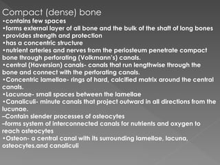 CALCIUM METABOLISM AND REPRODUCTIVE SYSTEM.ppt